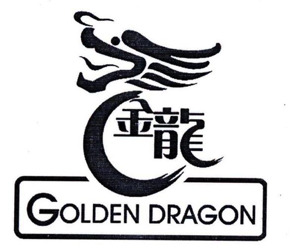 金龙公益直装图标