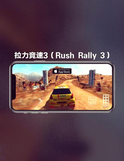 拉力竞速3破解版无限金币图标