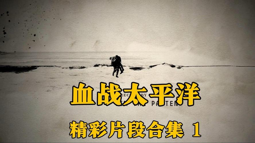 血战太平洋安装截图