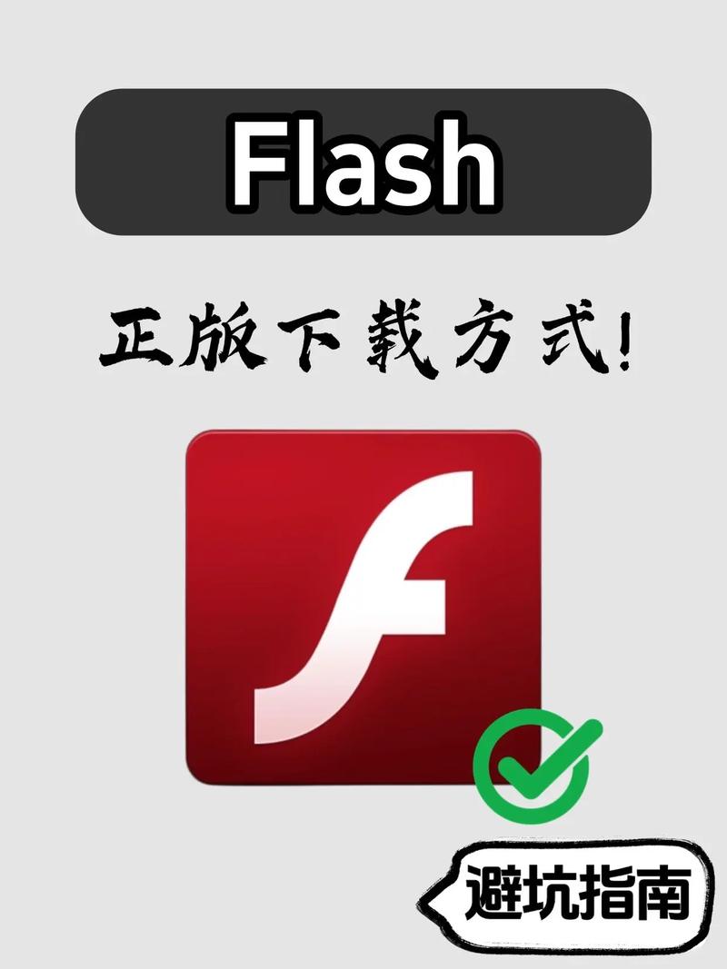 flash游戏模拟器2024最新版使用方法图标