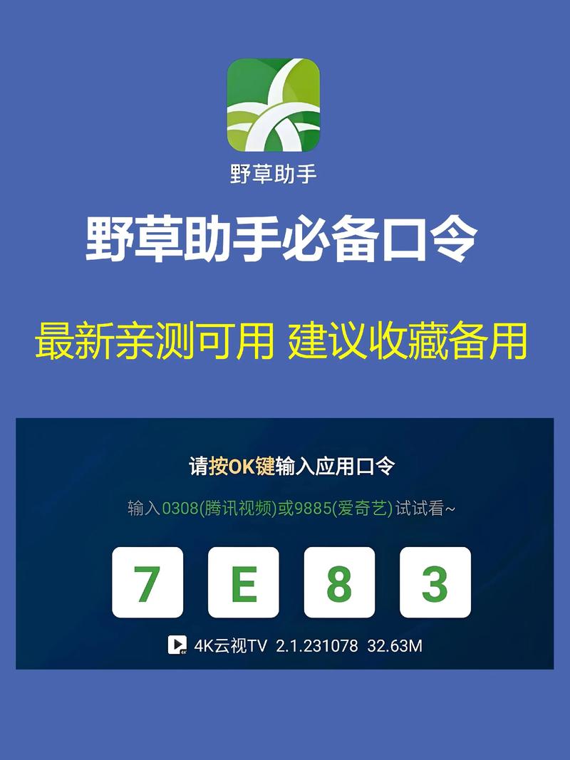 野草助手2025港澳台口令无限能量图标