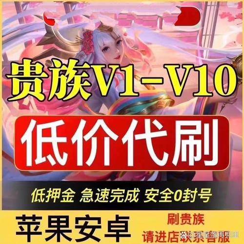 王者代刷皮肤截图