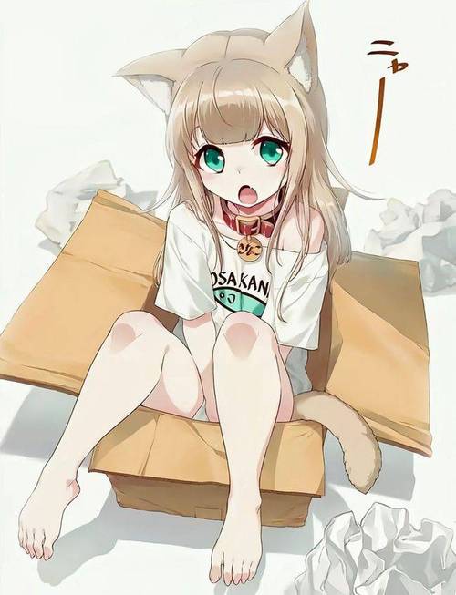 猫娘小萝莉游戏下载安卓版