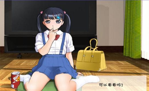 阳光下的真实冷狐汉化无广告版截图