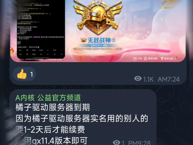 和平精英公益内核纯净版