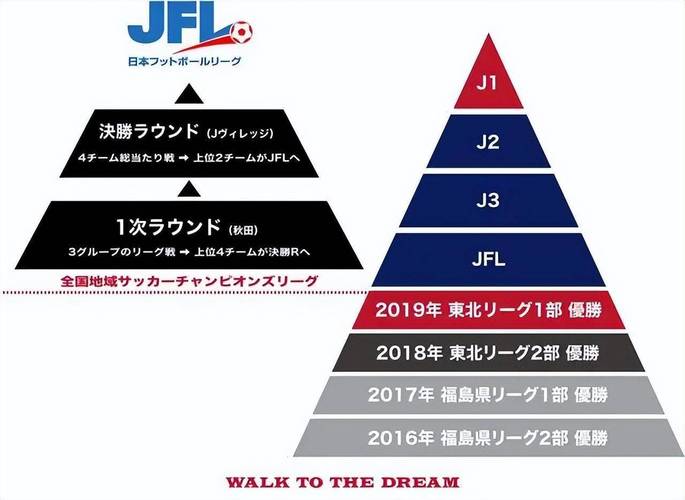 染星国体框架最新版24