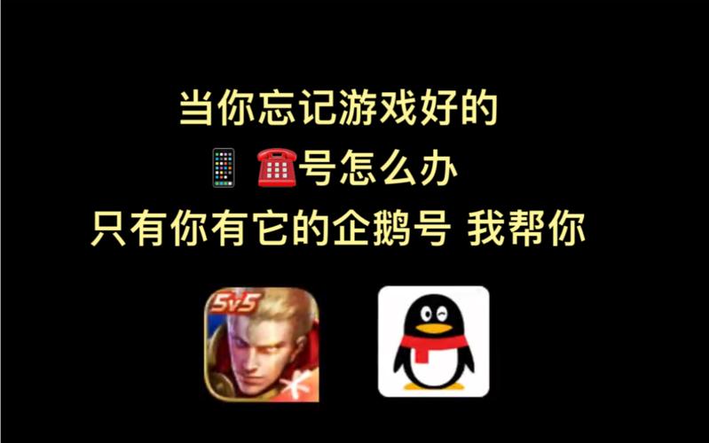王者荣耀隐藏战绩查看器黑色免费最新版截图
