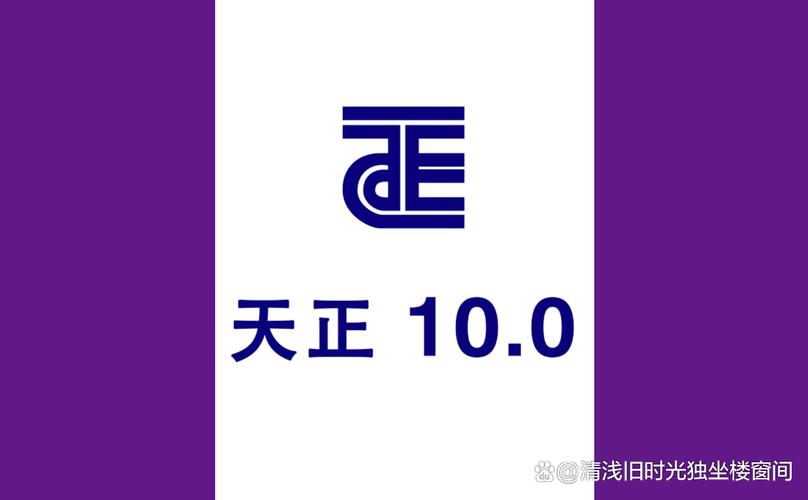 天正T20 破解图标