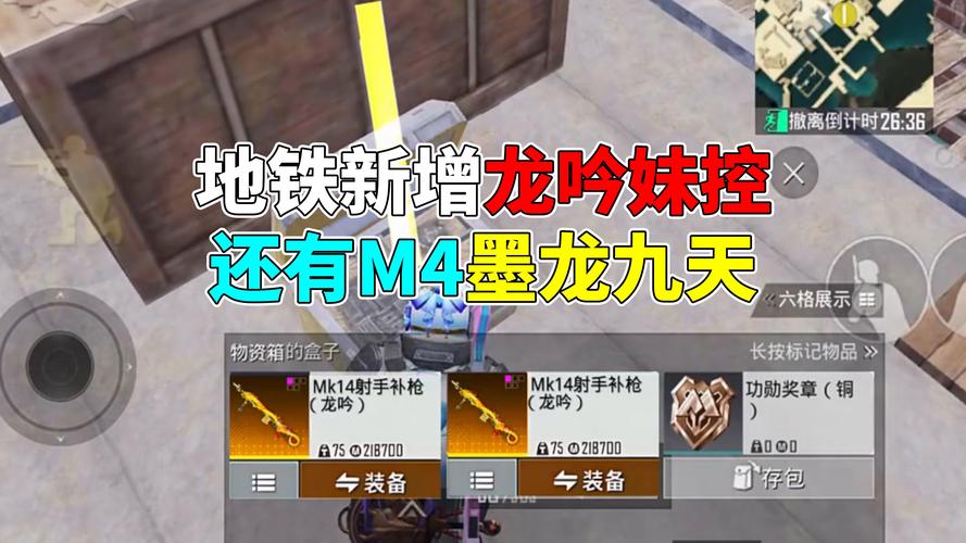 PUBG龙吟妹控租号