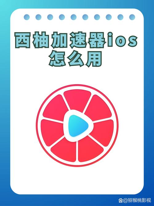 西柚加速 一键连接截图