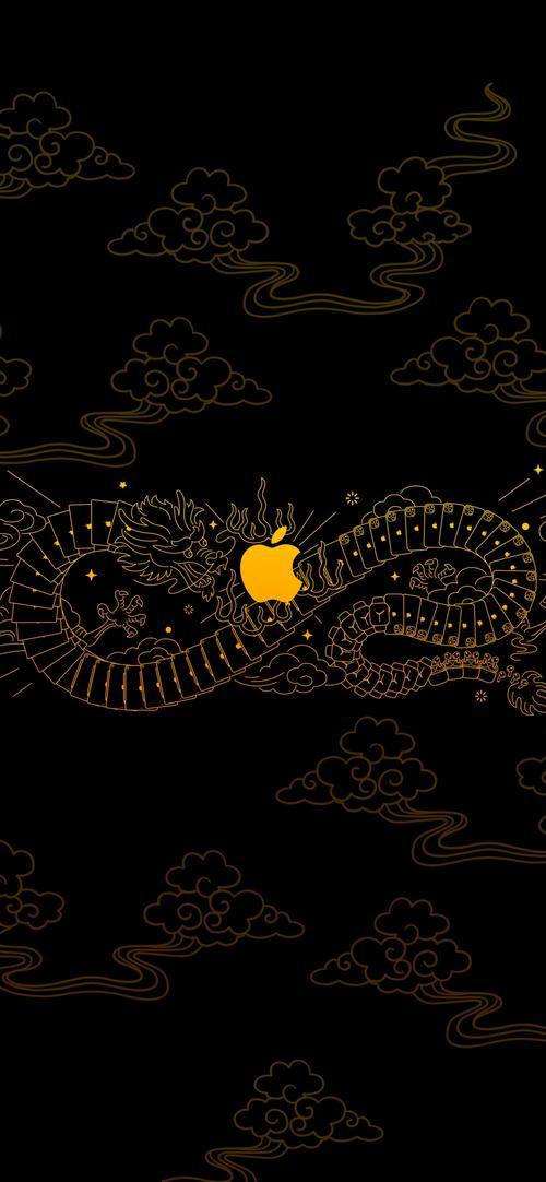 splayer手机端图标