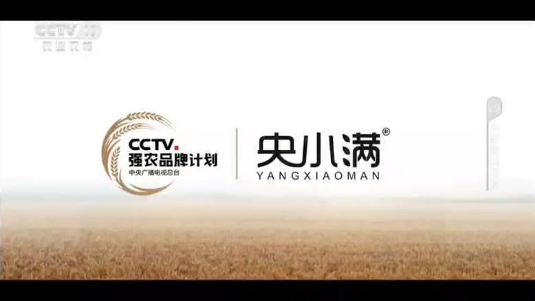 央小满app官网入口截图