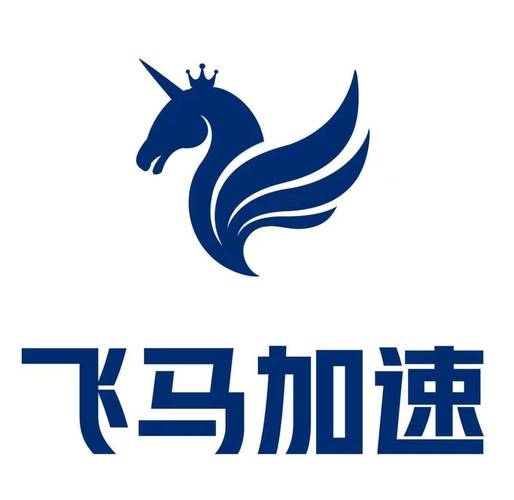 飞马加速器破解版