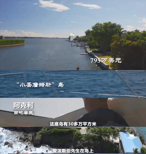 萝莉岛迅雷下载截图