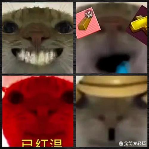喵喵地铁逃生破解版截图