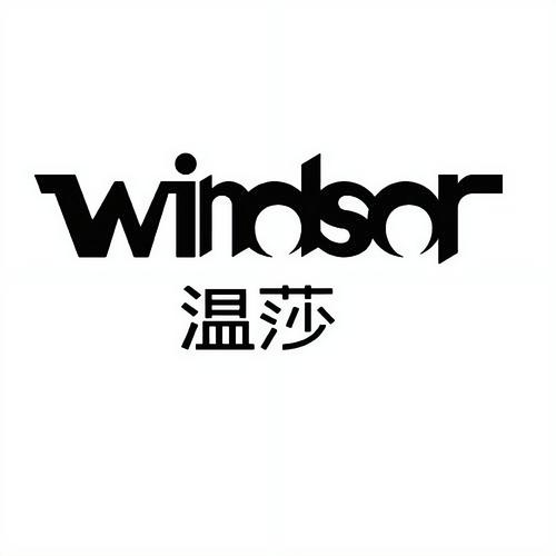 温莎APP  安卓版截图