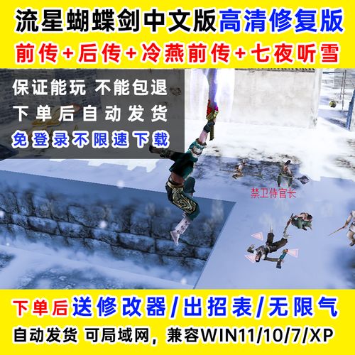 流星蝴蝶剑后传无限气汉化版截图