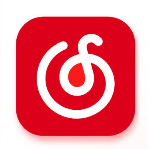 网易云音乐flyme定制版图标