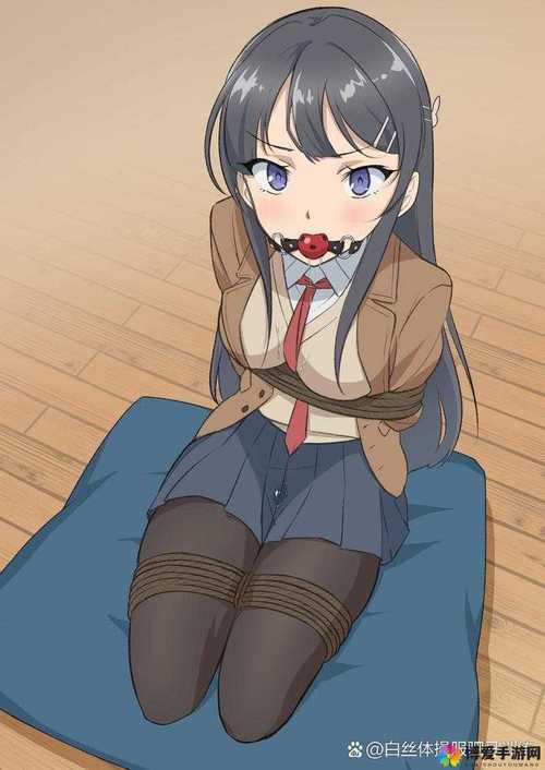 少女戴口球反绑手脚的视频