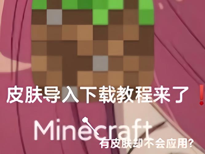 我的世界国际版皮肤导入图片下载