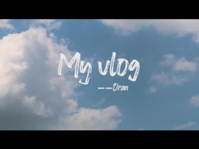 雏鸟vlogpro防走失