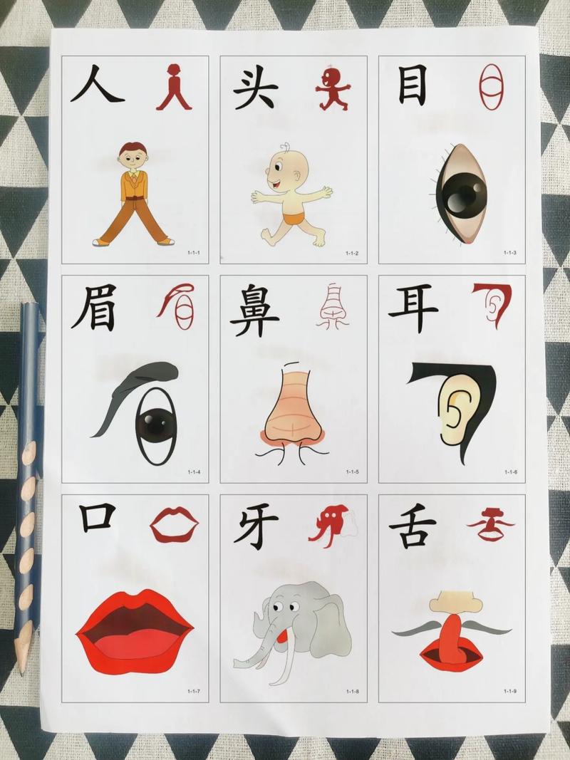 直映认字视频轻量版
