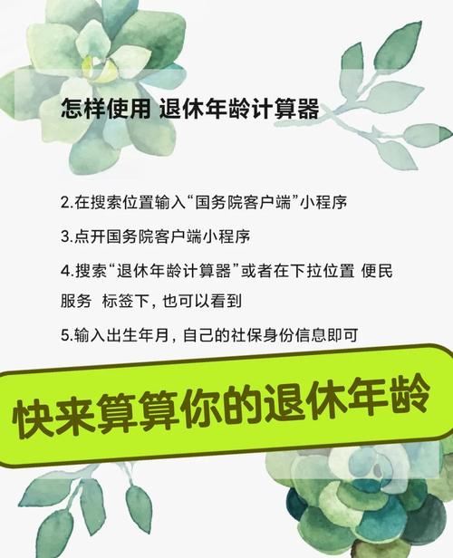退休计算器2025最新版图标