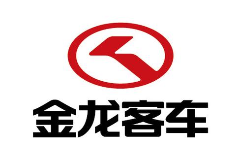 金龙直装科技加速永久截图