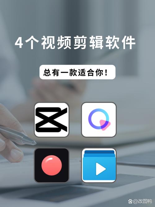 video leap使用教程