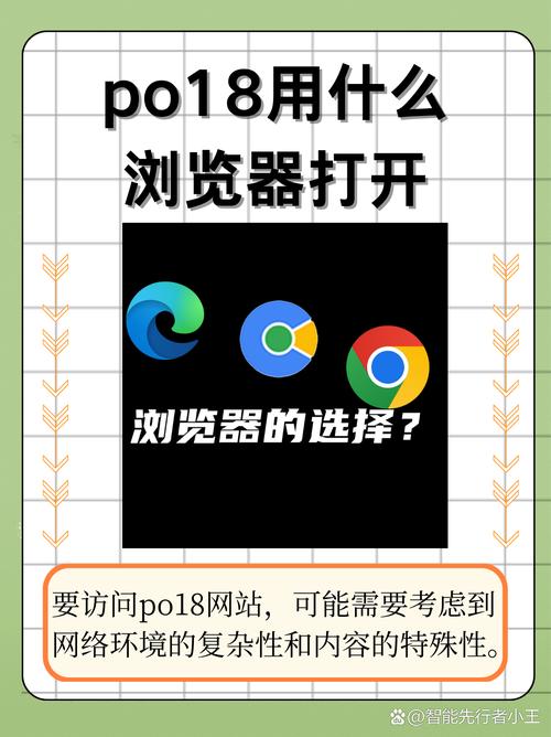 po18用什么浏览器打开