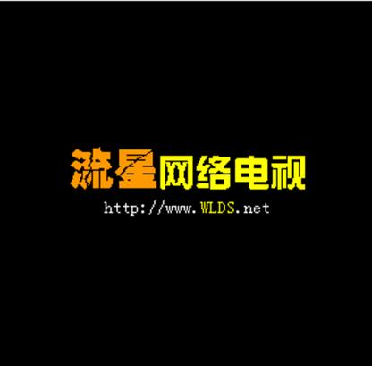 流星网络电视台截图