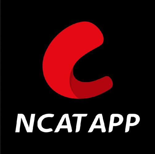 网飞猫纯净版官网安装最新版本永久免费截图