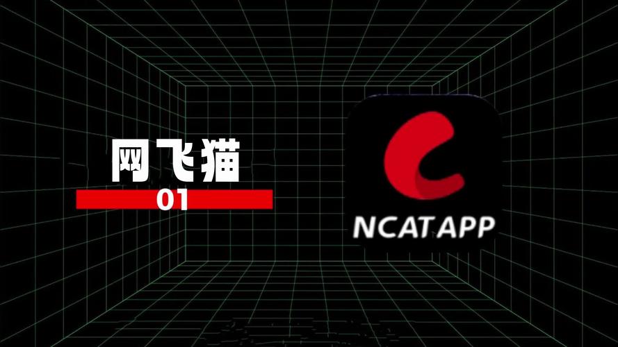 飞猫影视传媒APP官方版测试新版