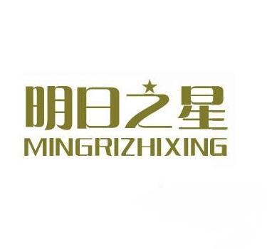 明日之星视频图标