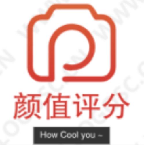 长相评分器在线在线阅读截图