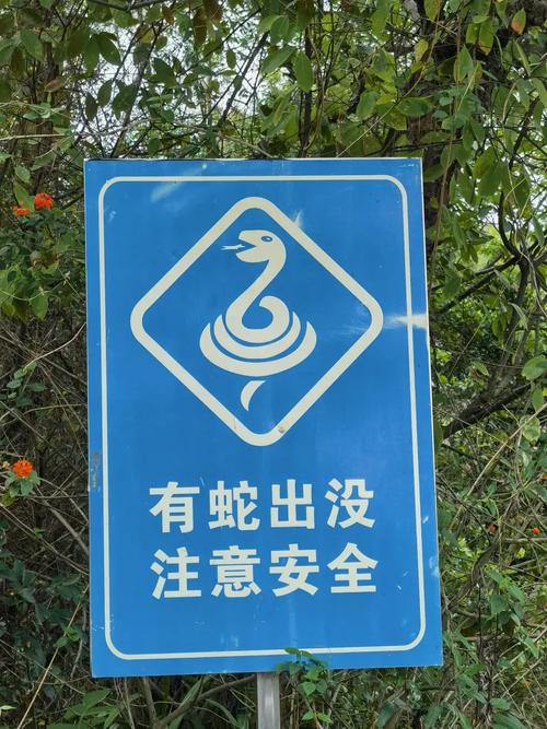 毒蛇加速器安装截图