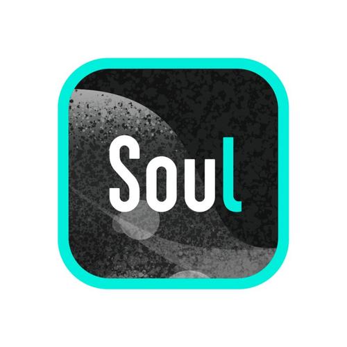 soul免费下载安装截图