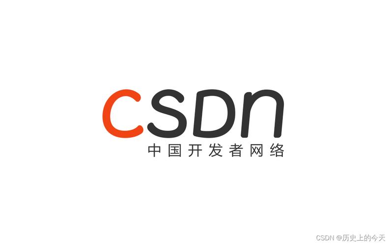 csdn辅助器无需登录截图