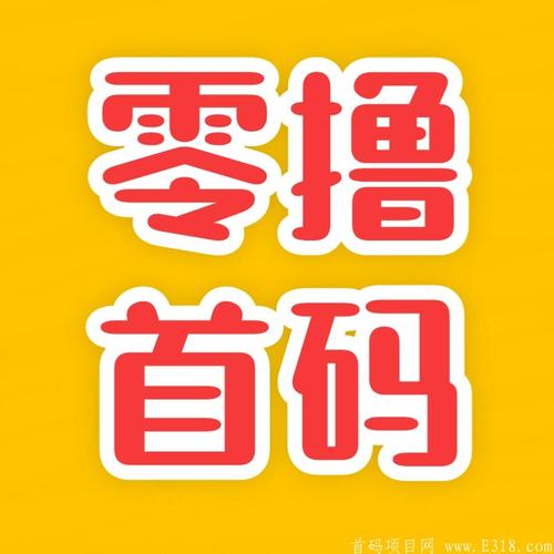 零撸项目破解无限配额