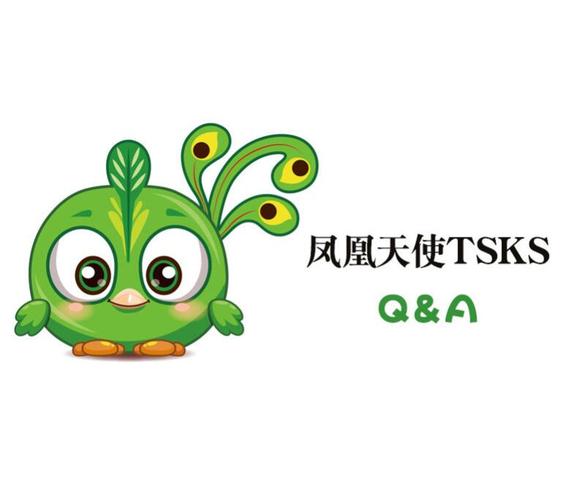 凤凰天使tsks韩剧社图标
