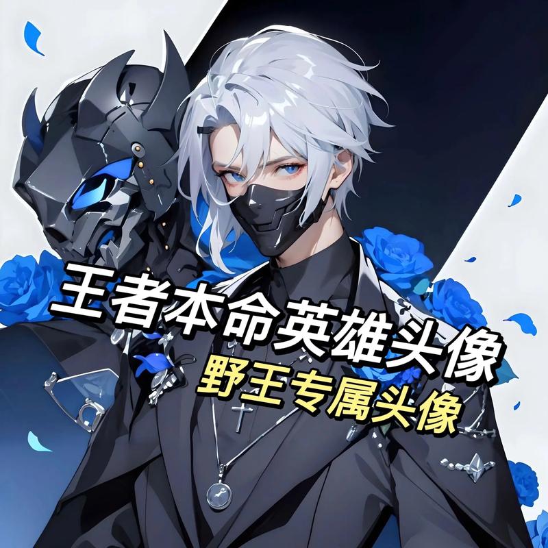 兰陵王弱网防封图标