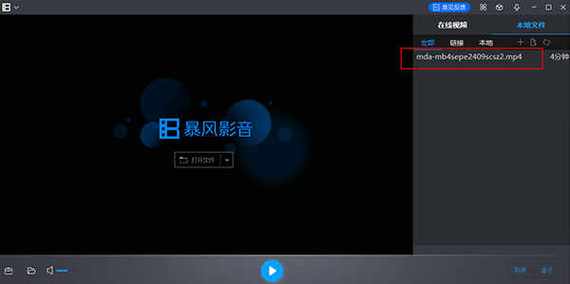 暴风影音5官方安装图标
