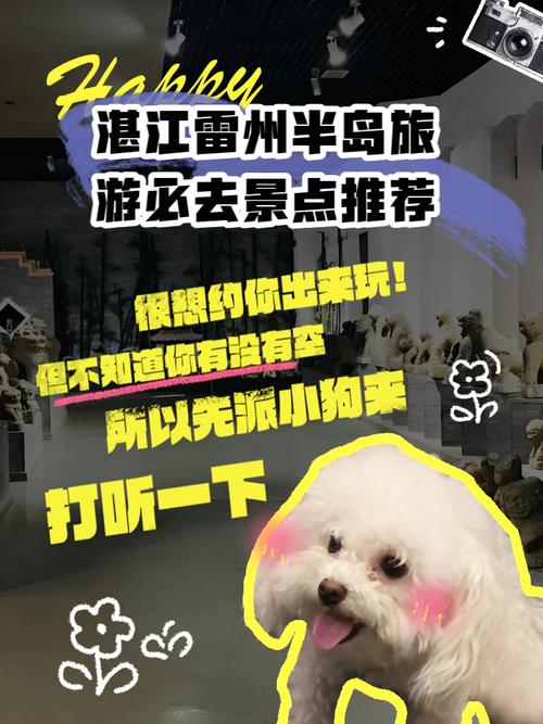 雷州半岛同城游图标
