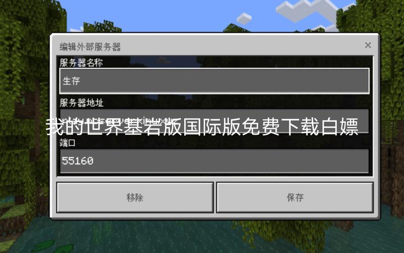 我的世界国际版基岩版安装器白色版