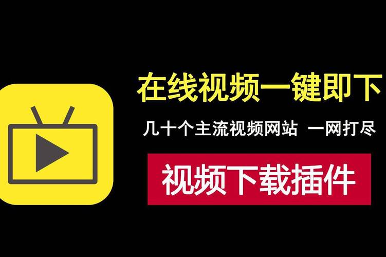 24小时视频在线观看免费观看下载截图