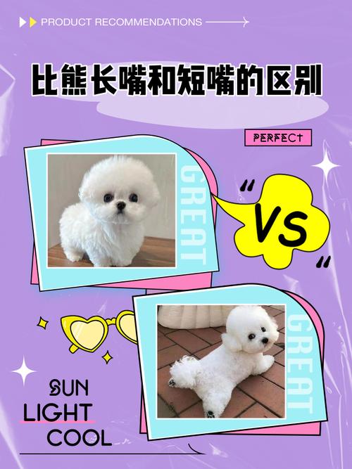 比熊漫画官方正版下载手机版紫色版图标