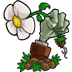 植物大战僵尸7723安装器改版