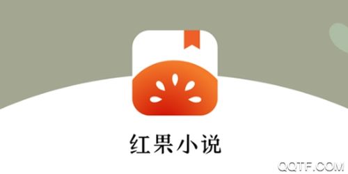 红果小说app下载官网版免费高清影视