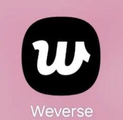 weverse最新版黑色更新截图