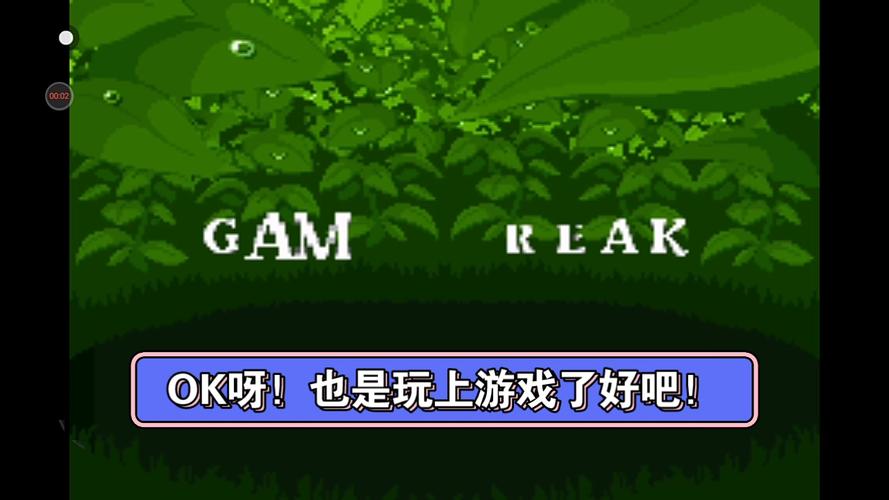 口袋妖怪究极绿宝石3修复版挂机脚本截图